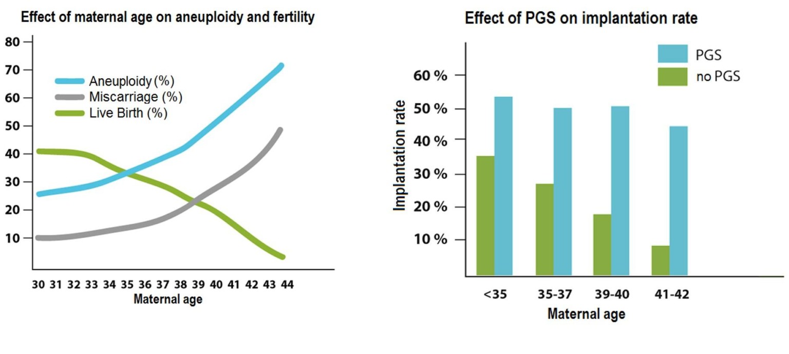 Preimplantation genetic screening and testing (PGS, PGT) - Ovumia
